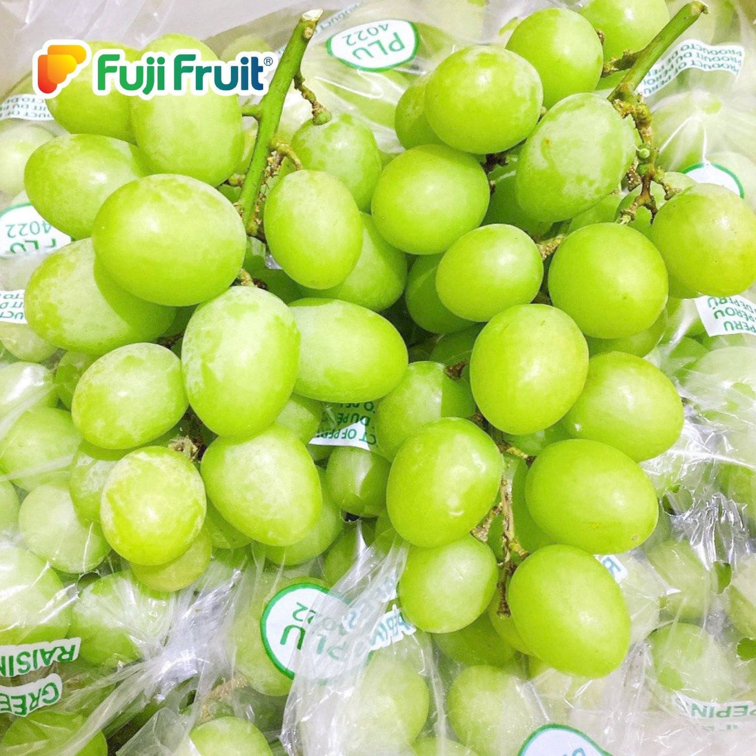 Nho xanh Peru - Fujifruit