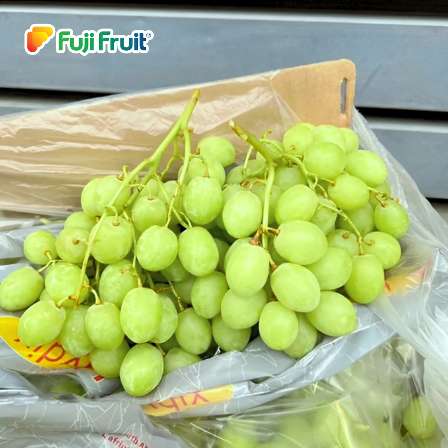 Nho xanh Hydix Nam Phi - Fujifruit